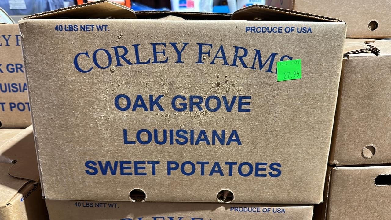 New Season, New Flavors: Satsumas & Sweet Potatoes Are Here! - Farm ...