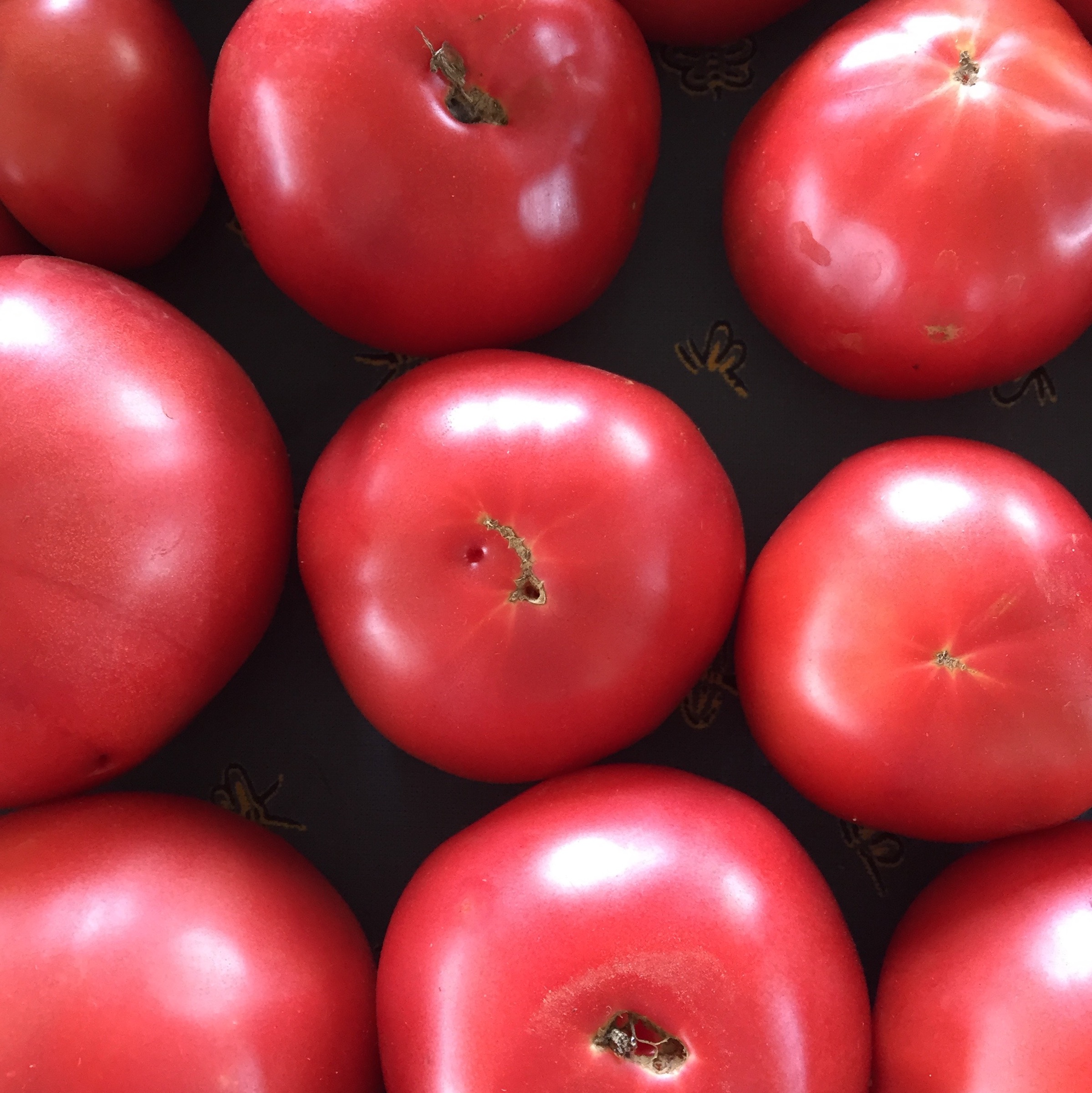 Week 11: The Annual Tomato Avalanche! It's Bulk Tomato Time. - Farm ...