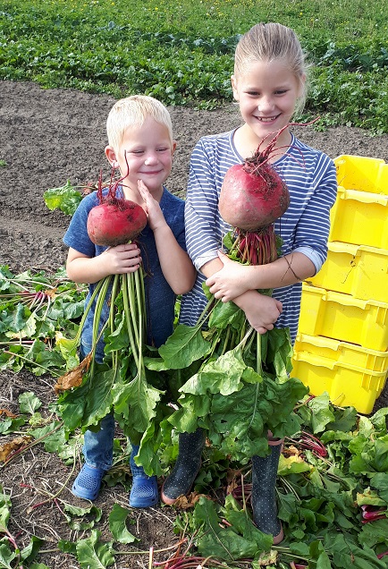The Busiest Week of the Summer!!!! - Farm Happenings at Noble Gardens ...